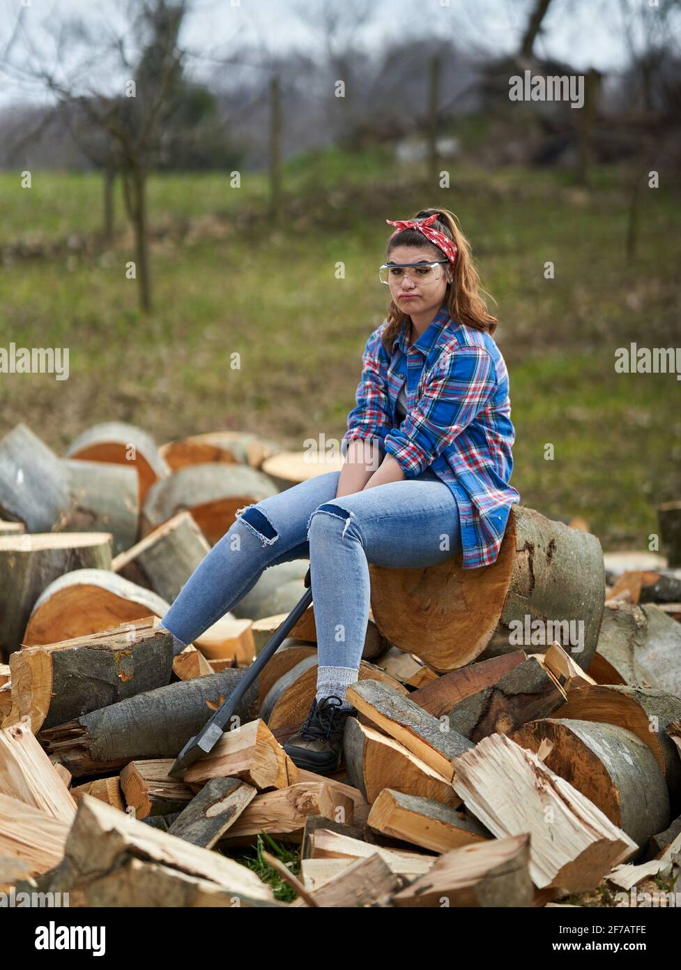 Woman farmer splitting beech logs for firewood in the backyard Stock ...
