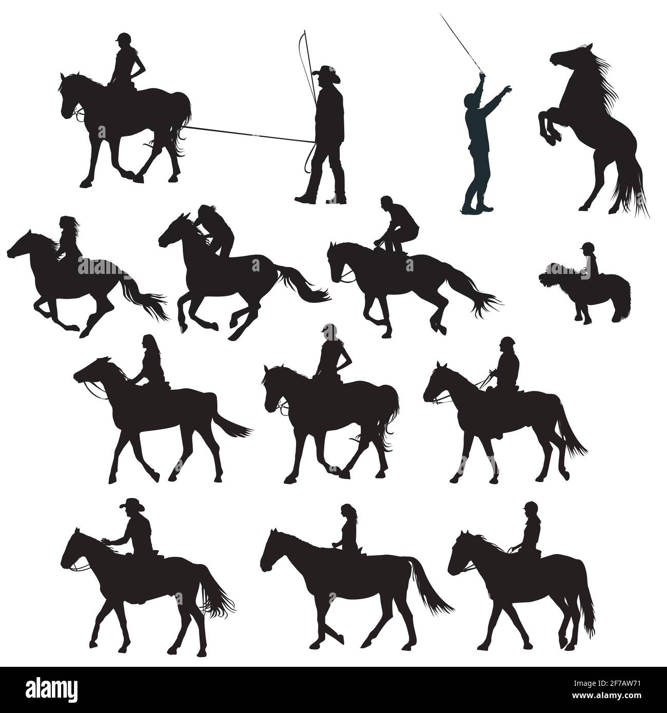 Training in horse riding Stock Vector Images - Alamy