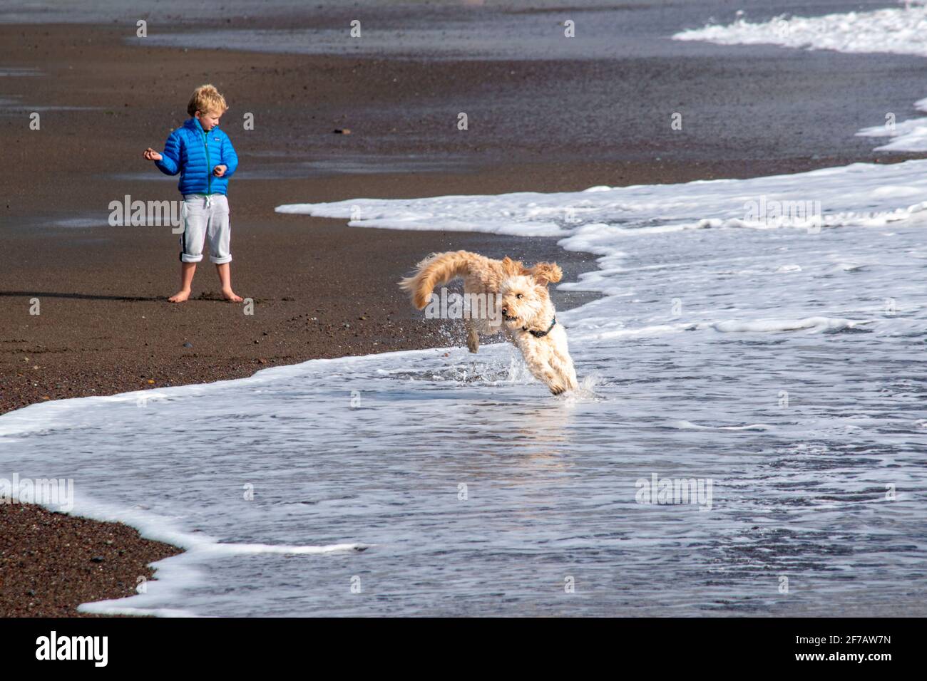 Rodeo Beach in the Marin Headlands, Marin County, CA, USA is a great ...