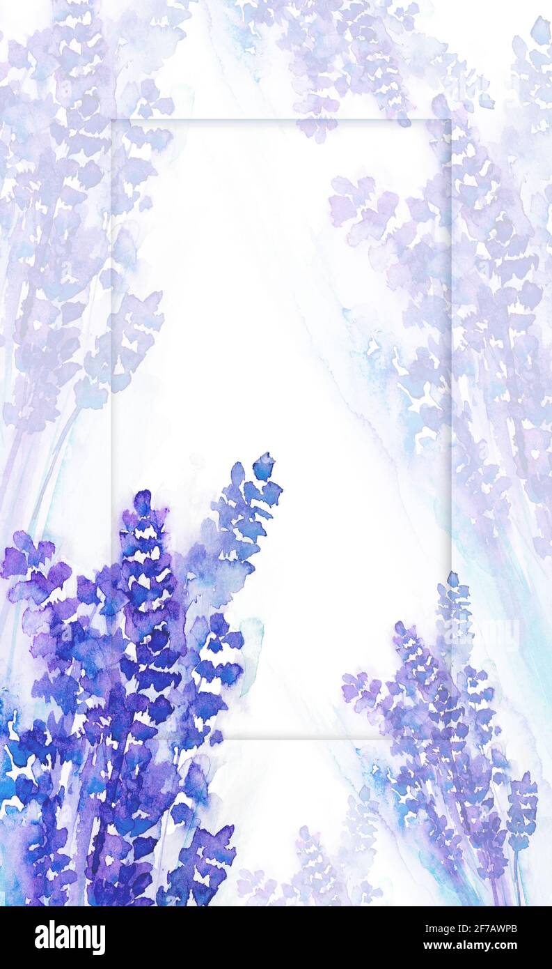 background of purple lavender flowers in watercolor style. rectangular ...