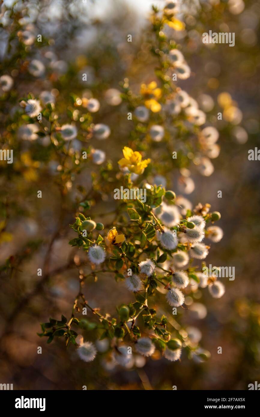 This Indian Land sign sits close to Palm Springs, CA, USA and looks ...