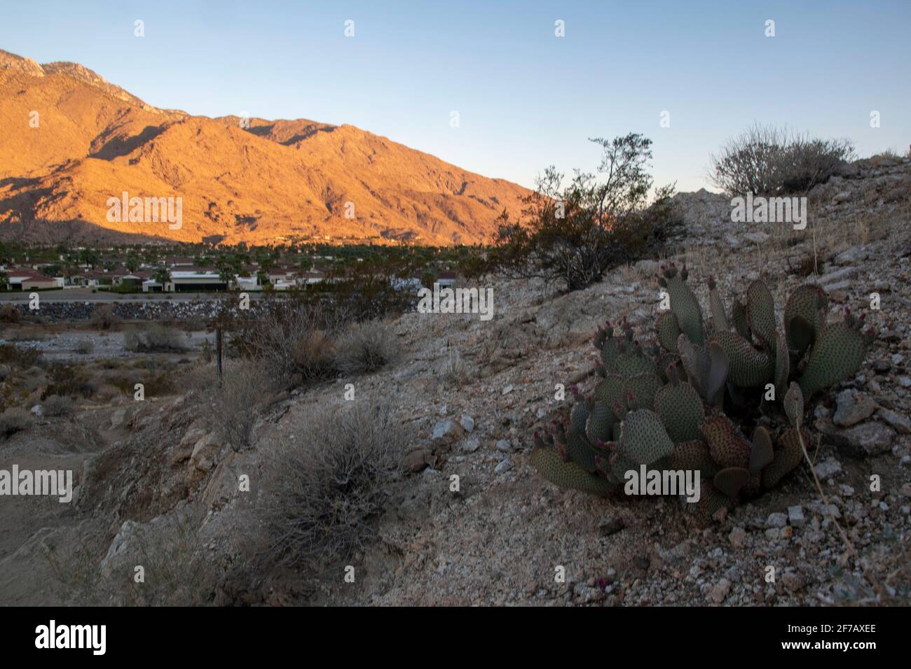 Palm springs indian land art hi-res stock photography and images - Alamy