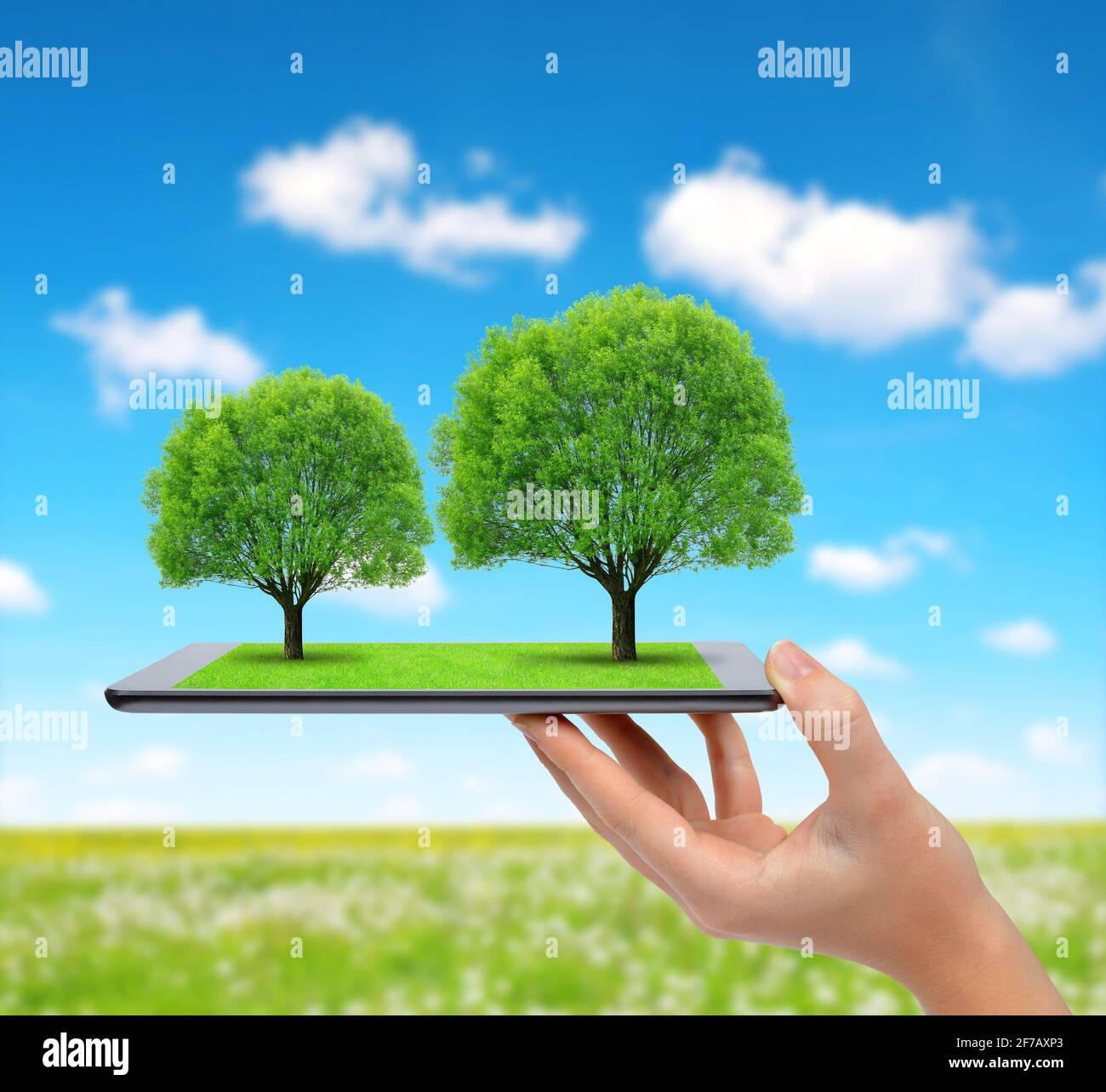 Hand holding tablet computer with trees Stock Photo - Alamy