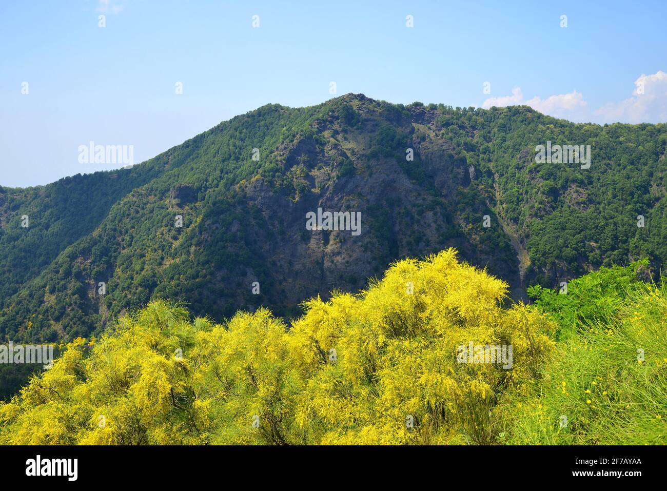 Mount Somma is the remnant of a large volcano, out of which the peak ...