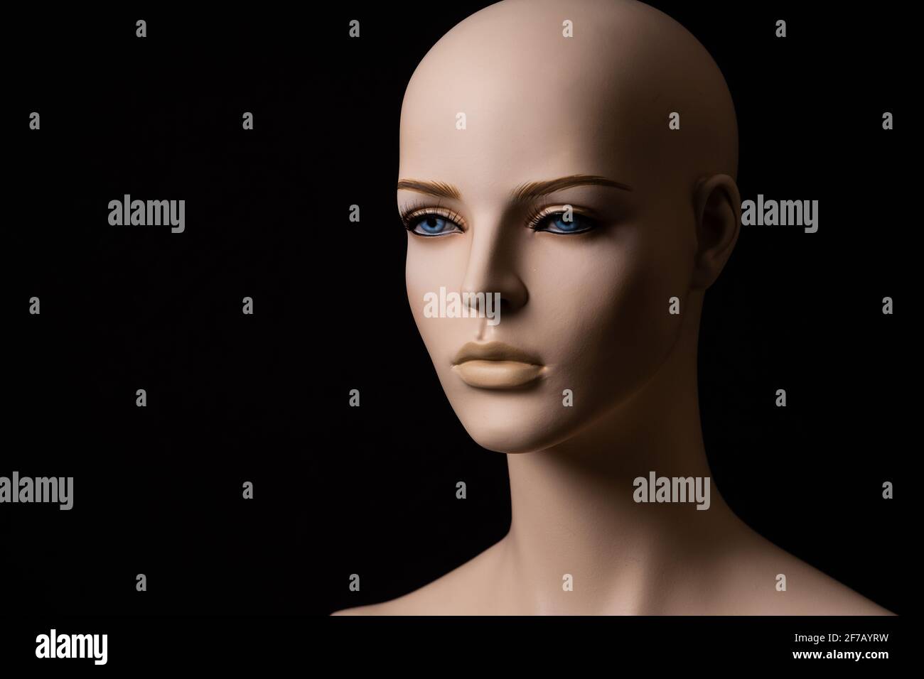 Close up shot of a female mannequin head in a studio environment Stock ...