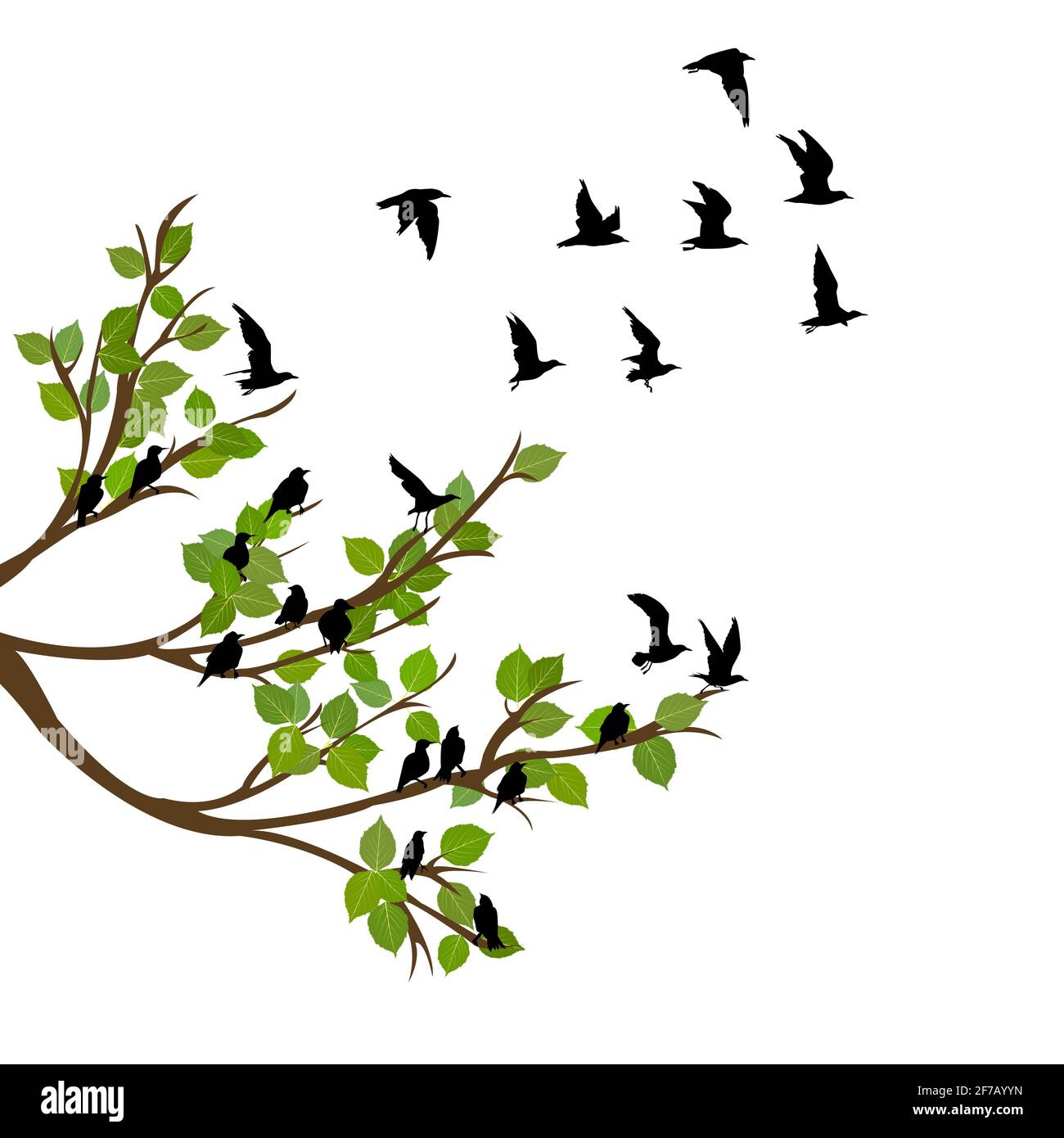 Flock of flying birds on tree branch Stock Vector Image & Art - Alamy