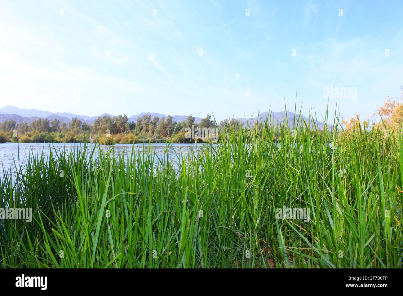 natural valley rural life in saudi arabia Stock Photo - Alamy