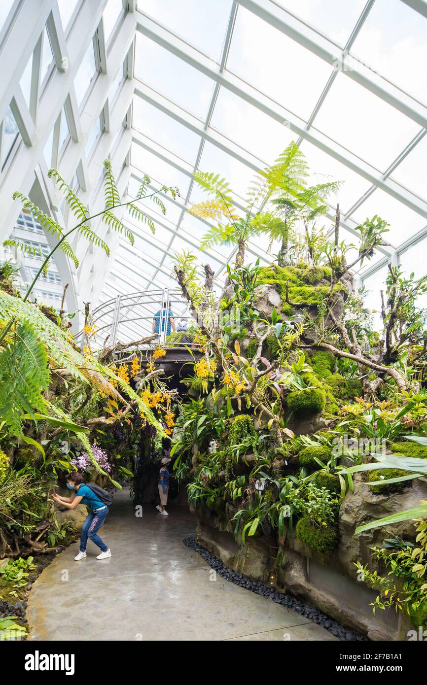 Vertical interior of The Sembcorp Cool House at National Orchid Garden ...