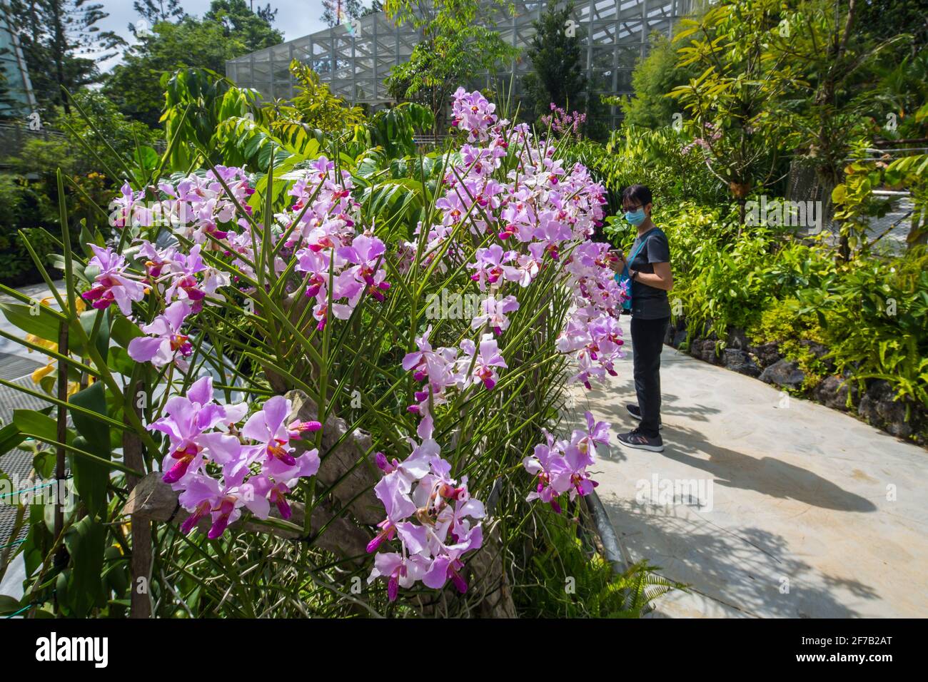 Display venue hi-res stock photography and images - Alamy