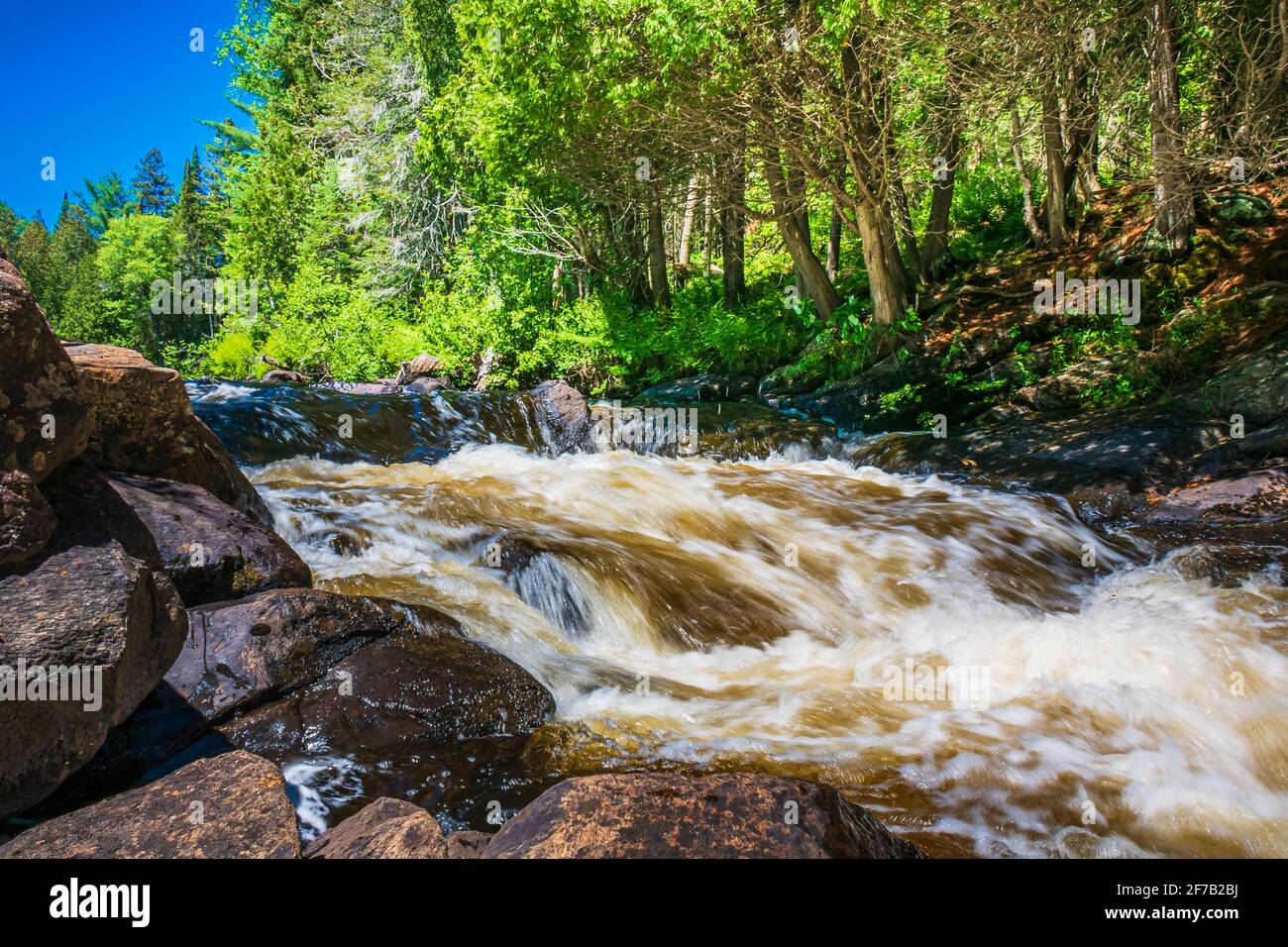 Thompson Water Rapids Ontario Canada in summer Stock Photo - Alamy