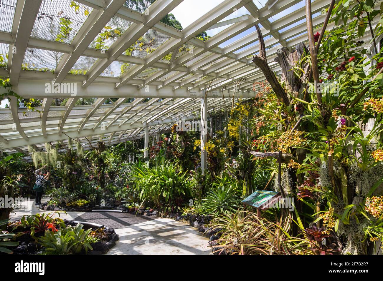 Neotropical forest environment at 650 metre to 1,000 metre elevation ...