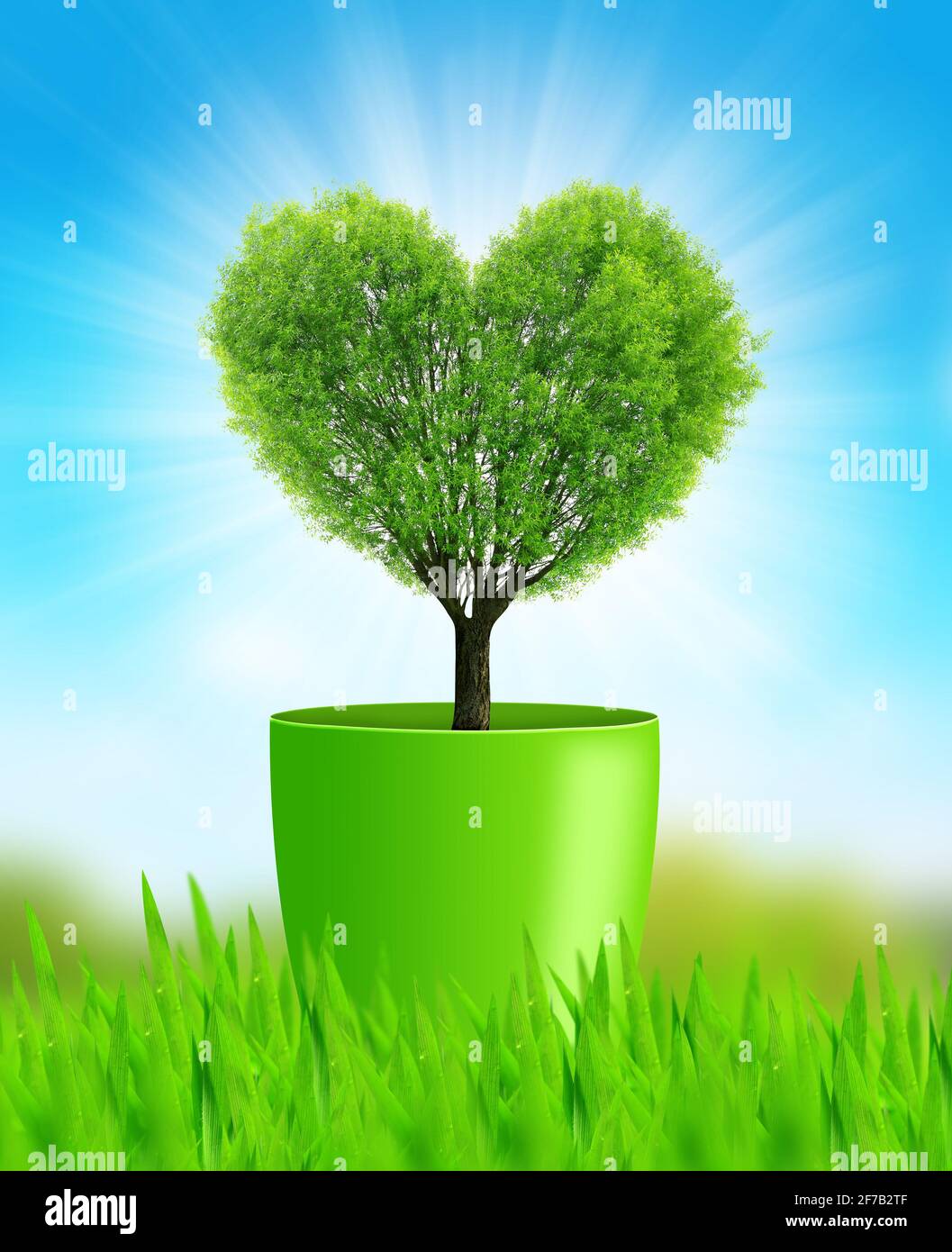 Tree in the shape heart growing in green pot Stock Photo - Alamy