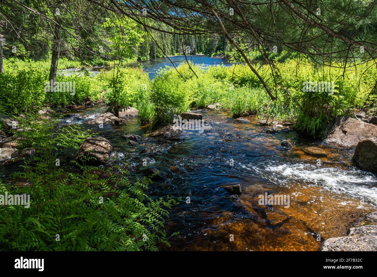 Thompson Water Rapids Ontario Canada in summer Stock Photo - Alamy
