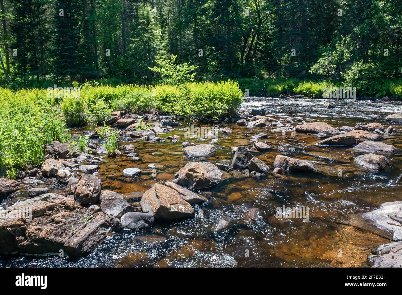 Thompson Water Rapids Ontario Canada in summer Stock Photo - Alamy