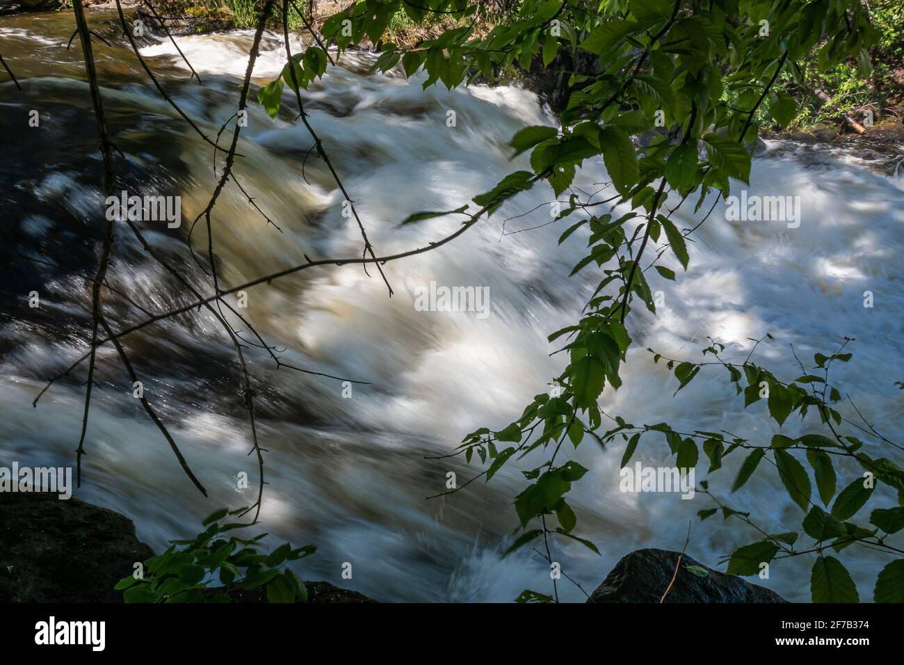 Stirling ontario canada hi-res stock photography and images - Alamy