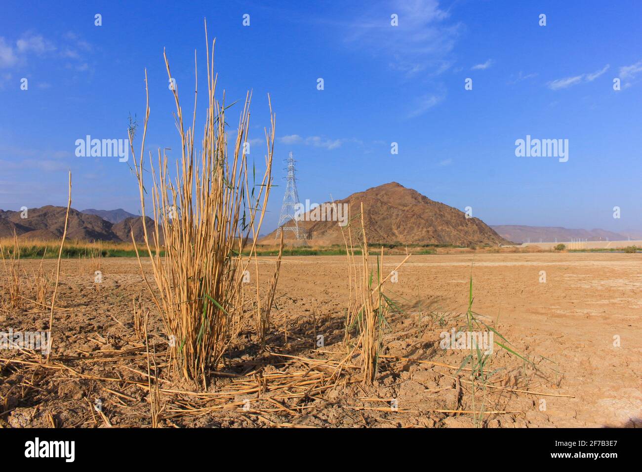 dry land in saudi arabia Stock Photo - Alamy