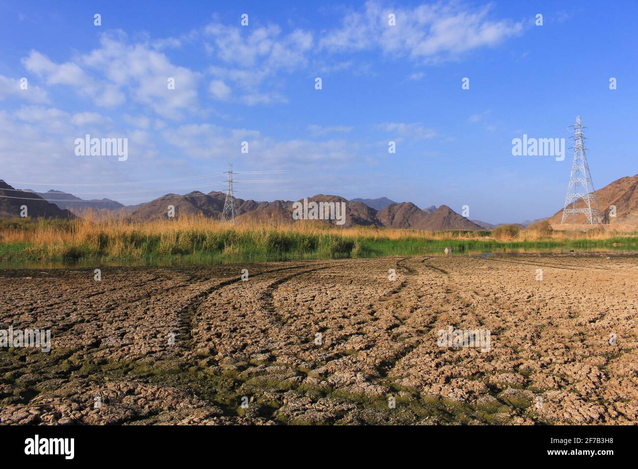 dry land in saudi arabia Stock Photo - Alamy
