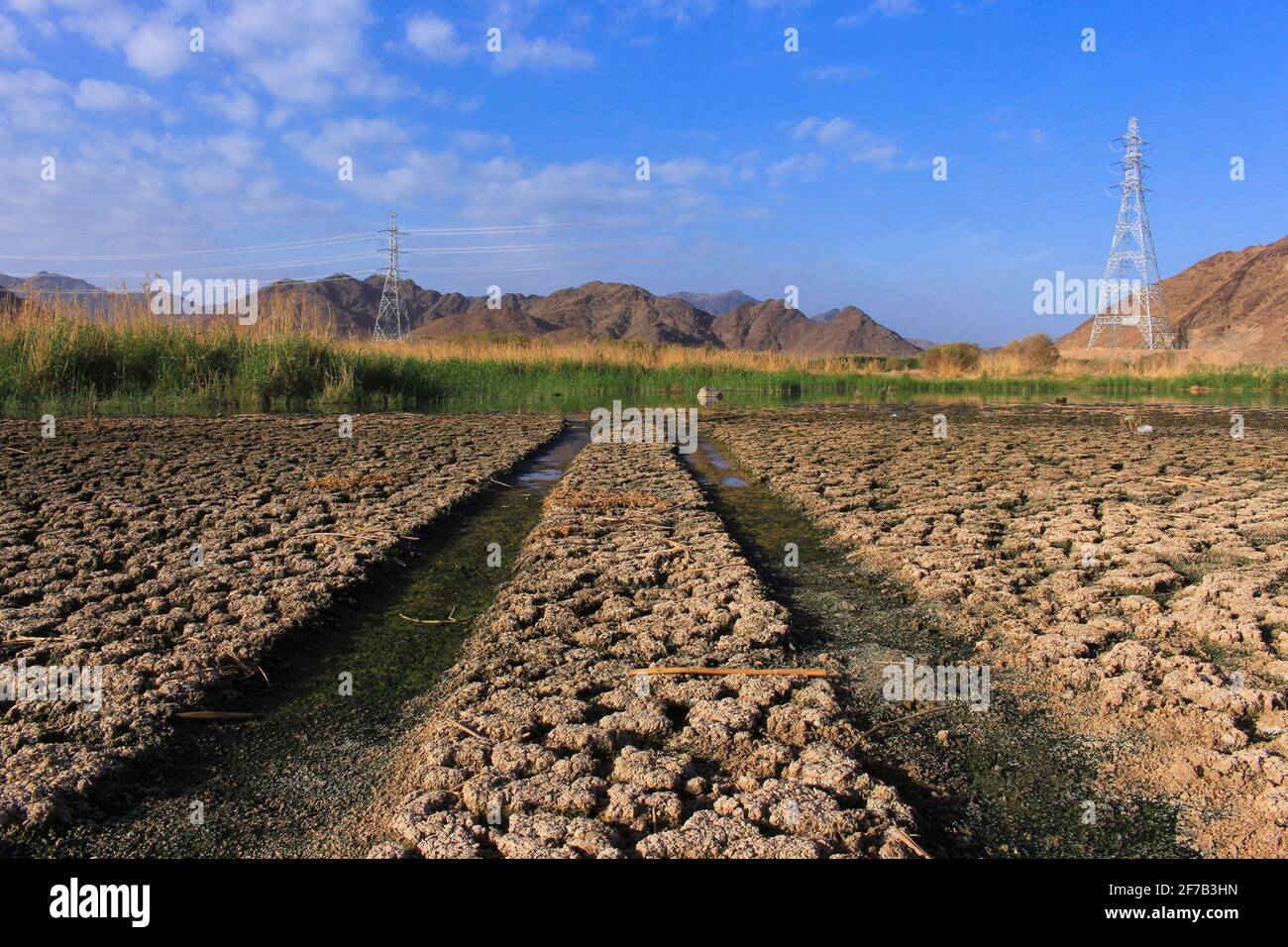 dry land in saudi arabia Stock Photo - Alamy