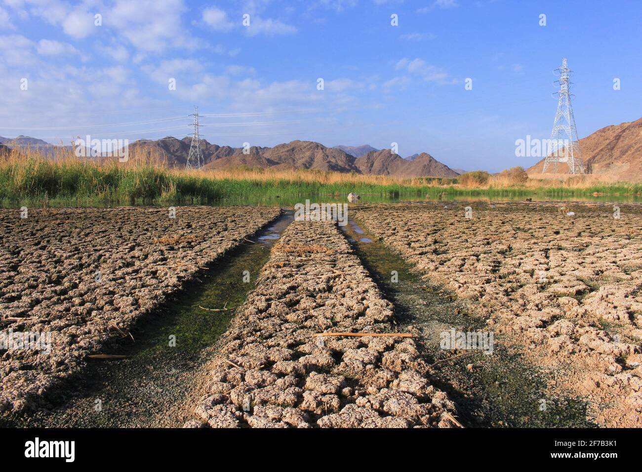 dry land in saudi arabia Stock Photo - Alamy