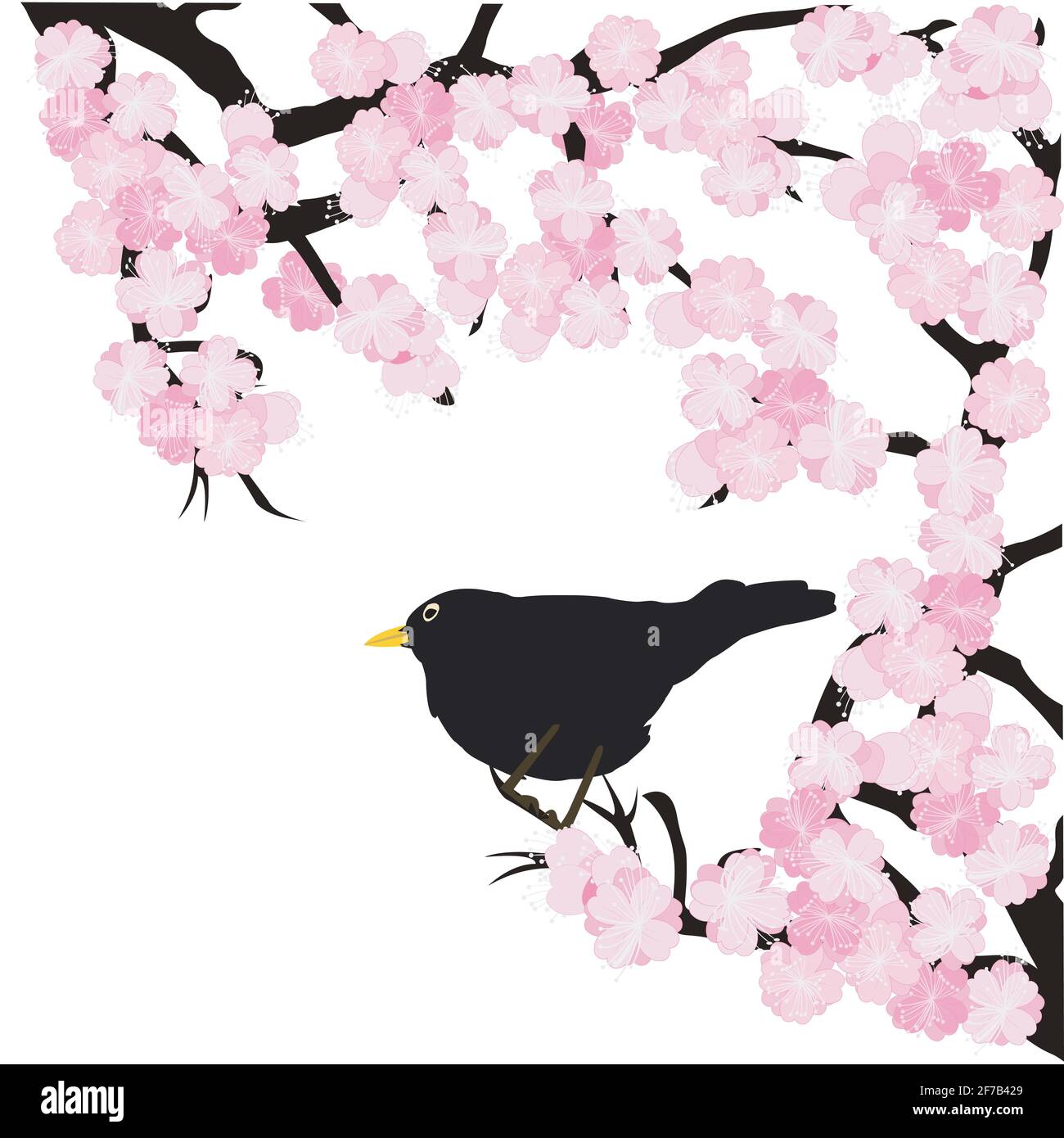 Blackbird cherry tree Stock Vector Images - Alamy