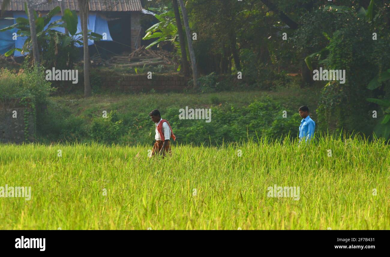 natural valley rural life in saudi arabia Stock Photo - Alamy natural valley rural life in saudi arabia Stock Photo - Alamy