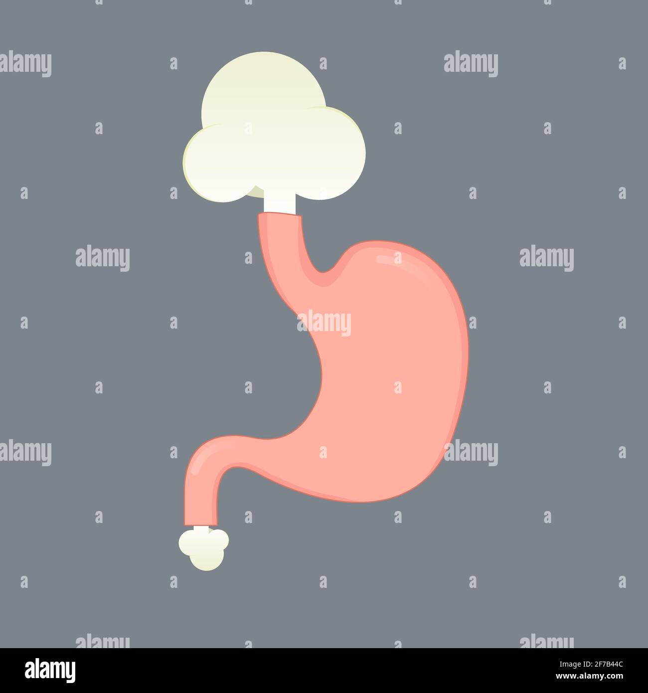 Stomach gas acid reflux indigestion system. Stomach vector gas diarrhea ...