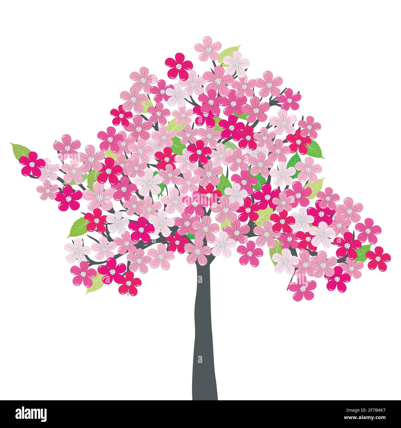 Tree white flowers flowering Stock Vector Images - Alamy