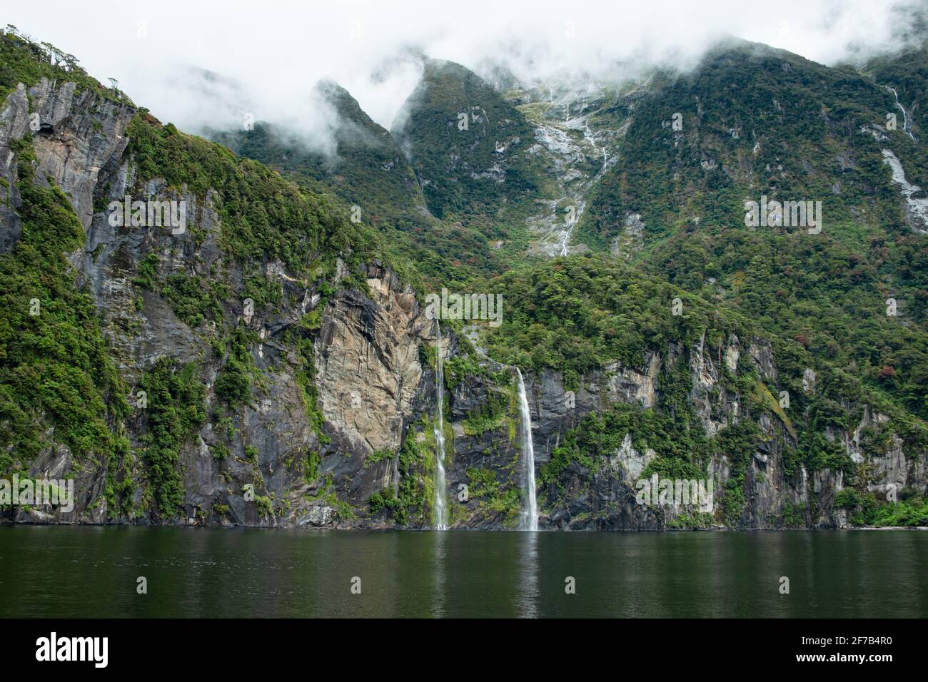 Waterfalls in Milford Sound with Southern Rata forest in bloom, clouds ...