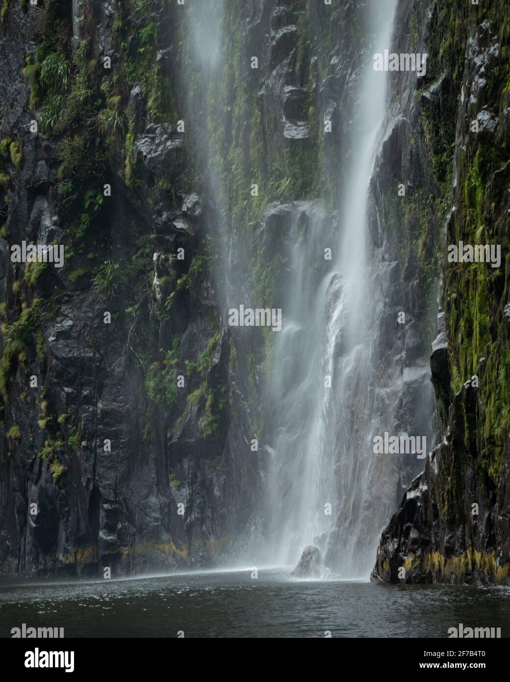 Stirling Falls in Milford Sound, vertical format Stock Photo - Alamy