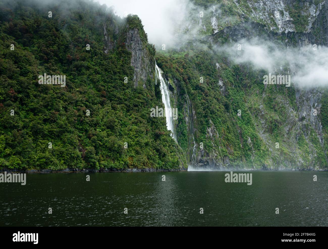 Stirling Falls with flowering Southern Rata forest, Milford Sound, New ...