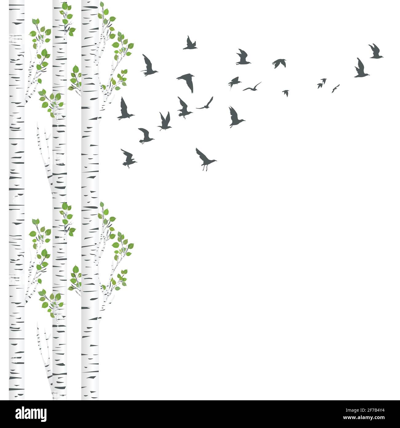 Background with birch trees and birds flying Stock Vector Image & Art ...