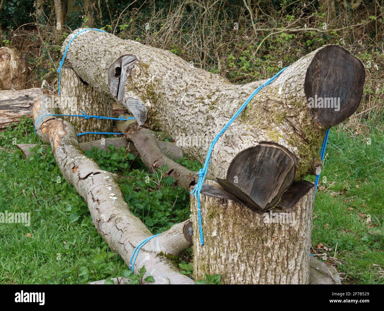 felled tree trunks used as eventing horse jumps Stock Photo - Alamy