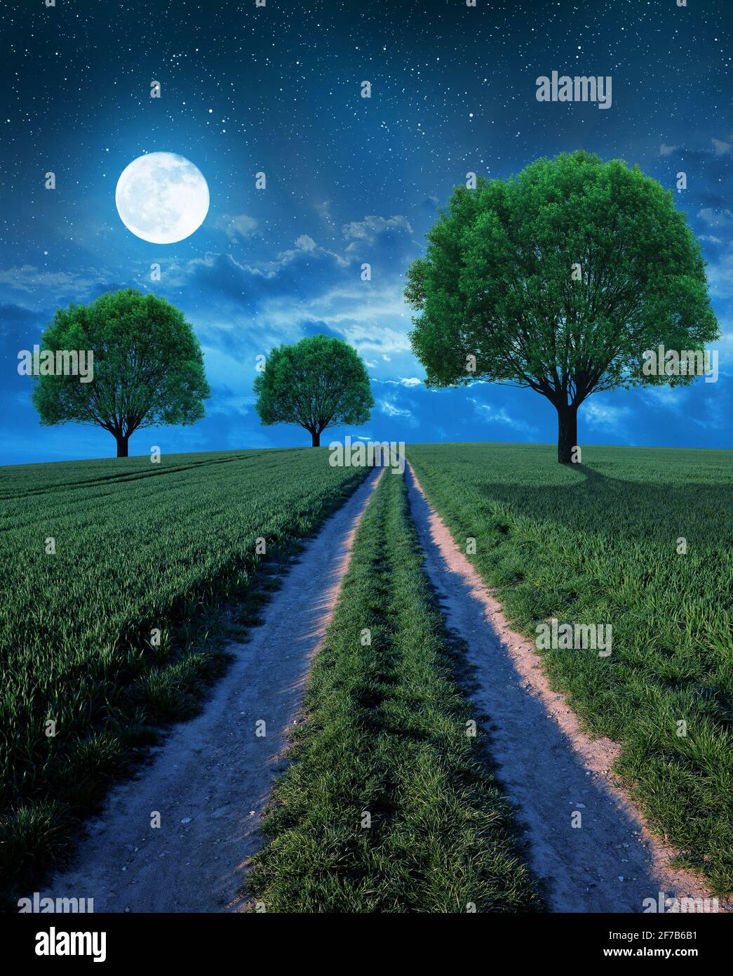 Night landscape with dirt road and trees Stock Photo - Alamy
