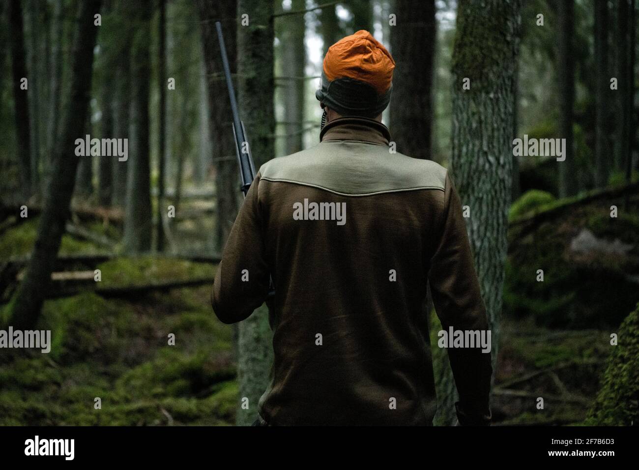 Rear view of hunter in forest Stock Photo - Alamy