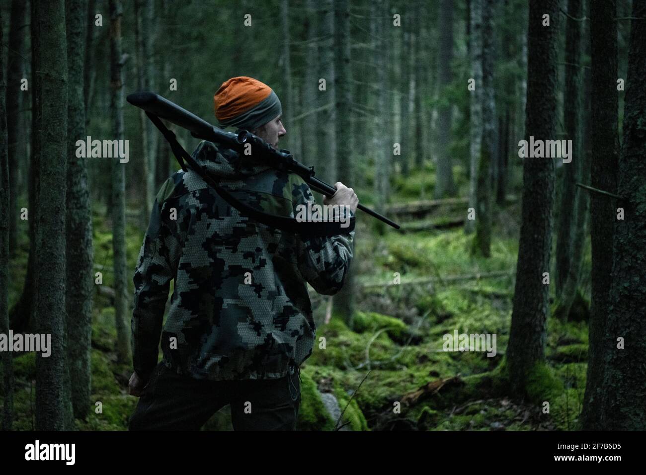 Camouflage hunter in forest hi-res stock photography and images - Alamy
