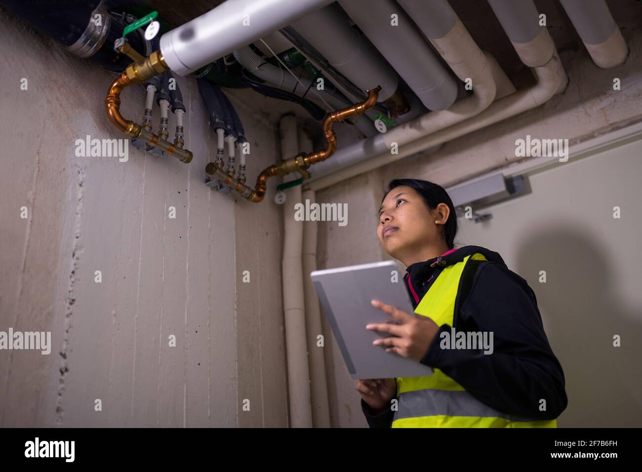 Female plumber checking pipes Stock Photo - Alamy