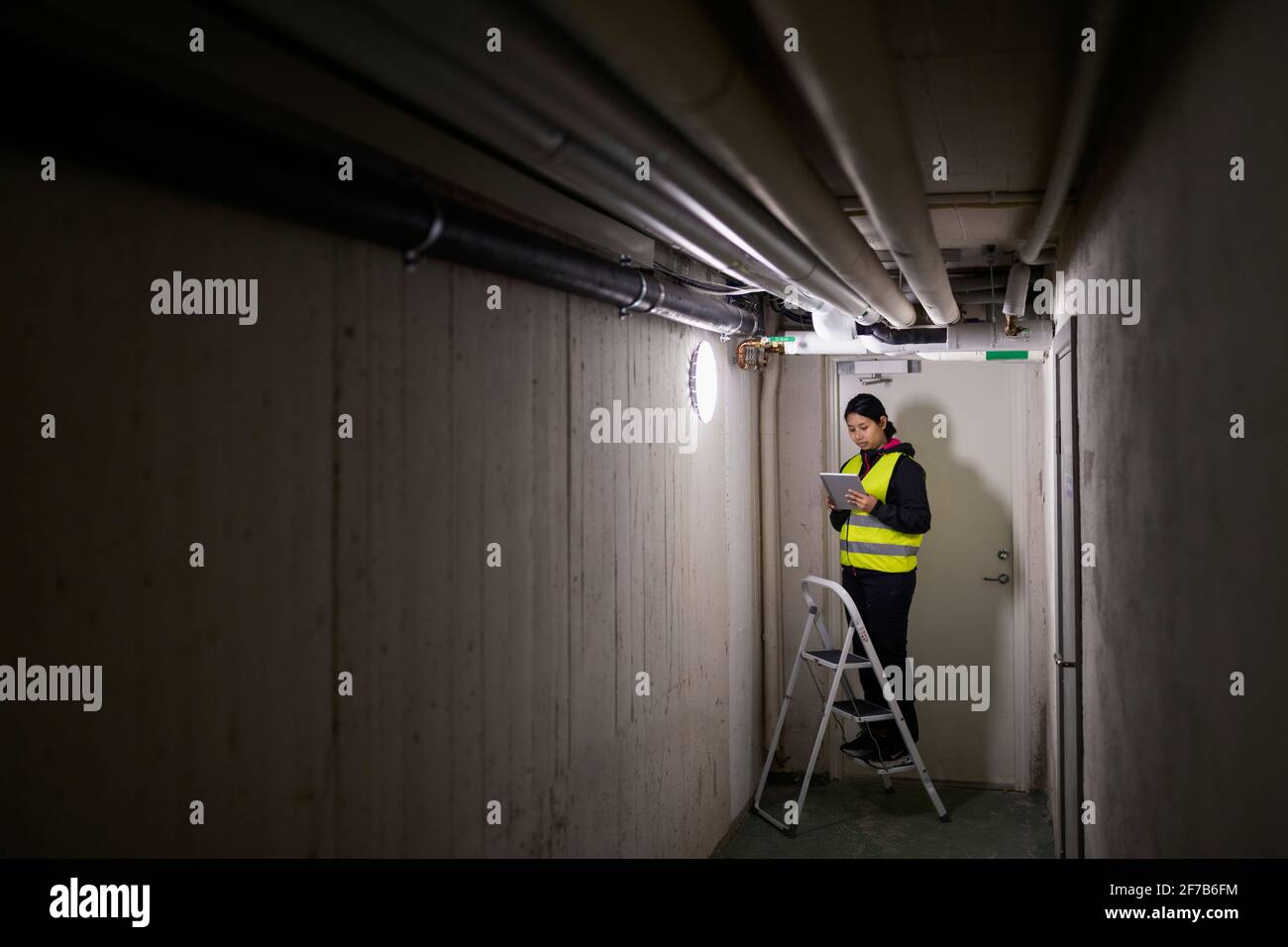 Female plumber checking pipes Stock Photo - Alamy