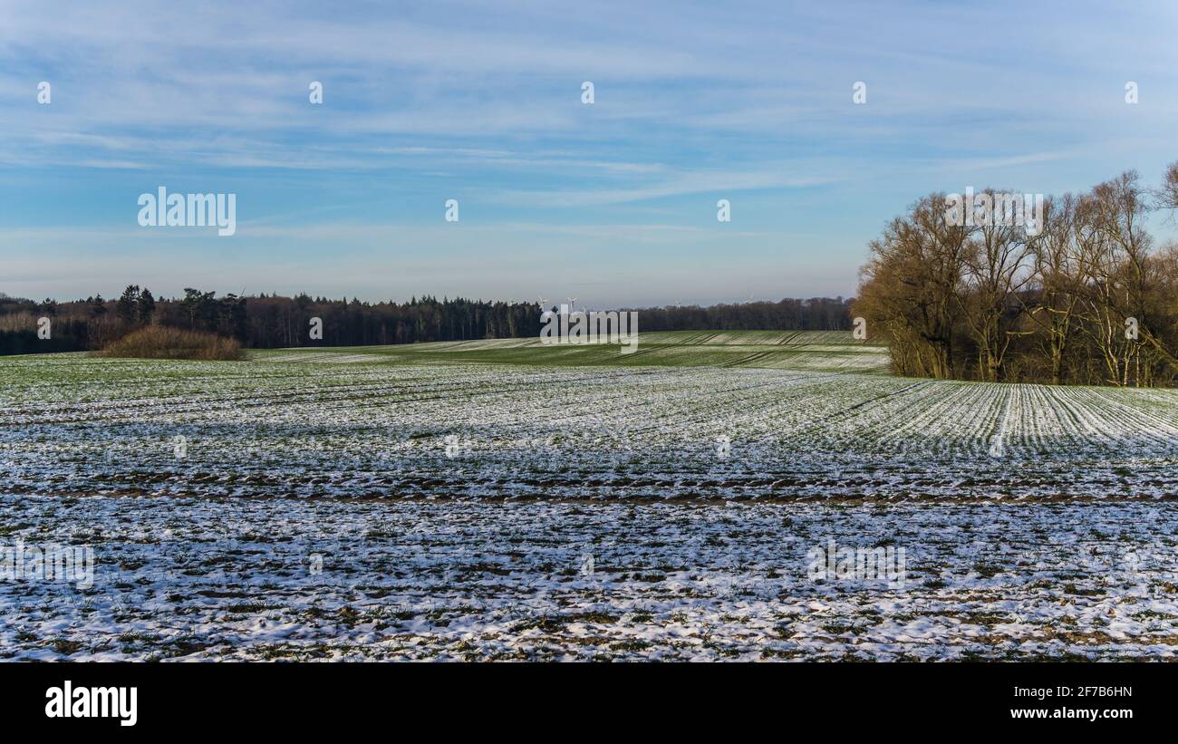 winterly landscape with fields and forest covered with snow Stock Photo ...