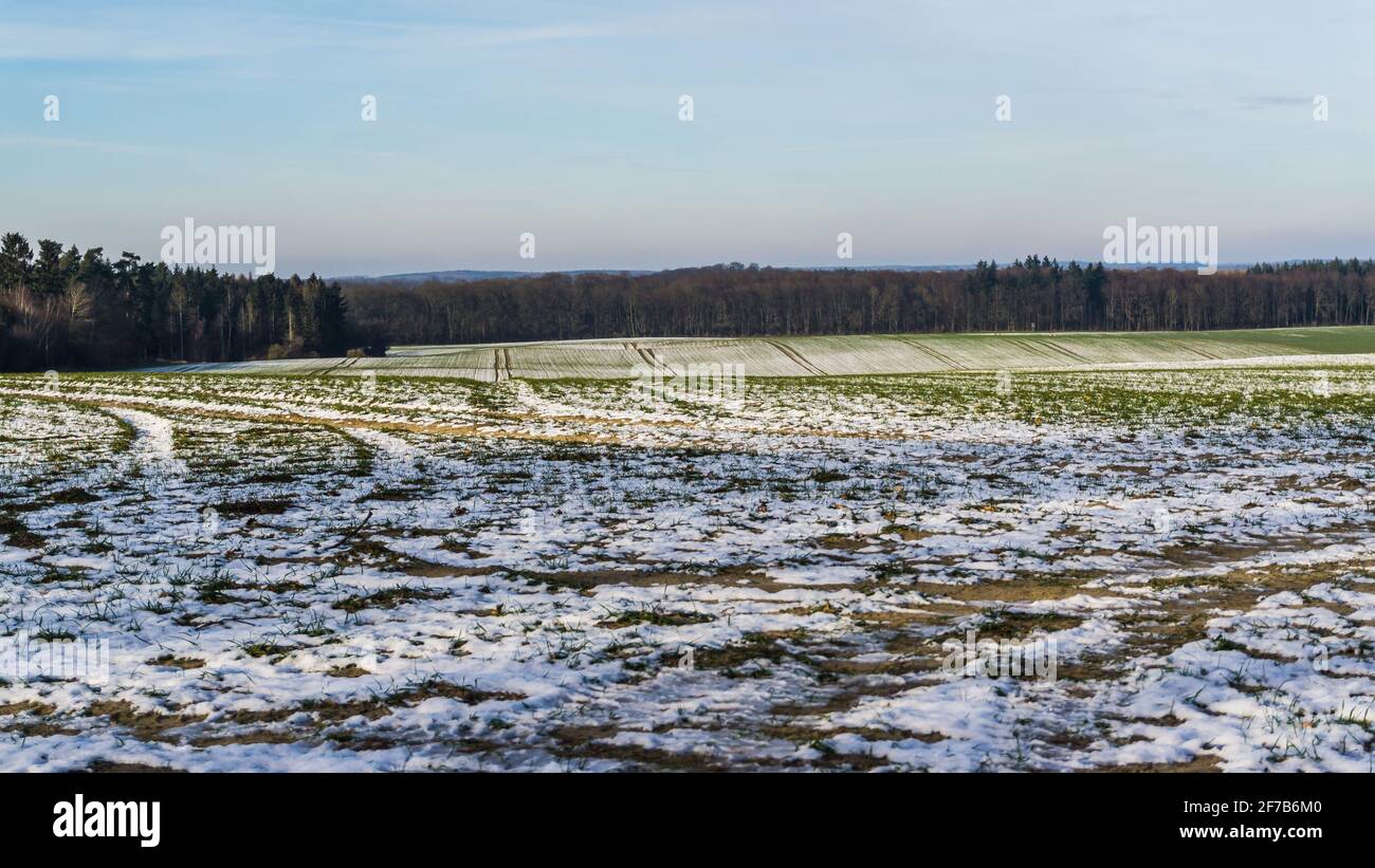 winterly landscape with fields and forest covered with snow Stock Photo ...