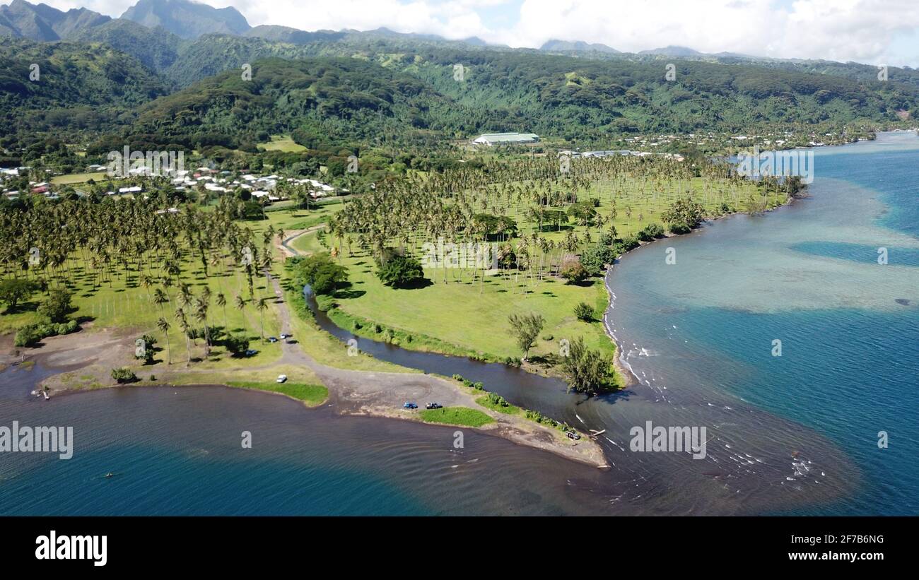 Tahiti forest hi-res stock photography and images - Alamy