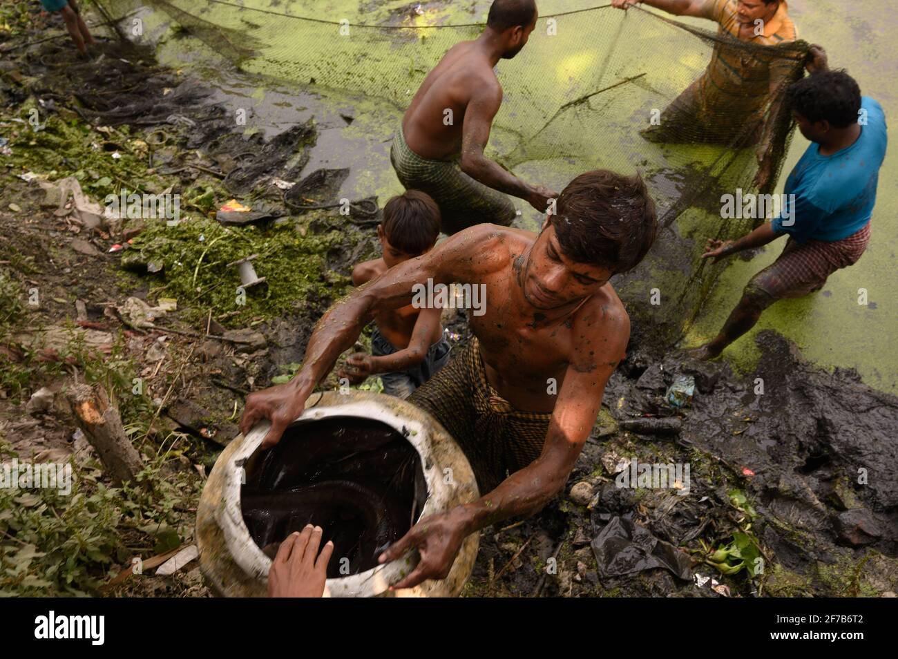 Shallow Baskets Asia Hi Res Stock Photography And Images Alamy