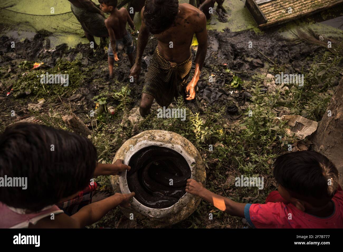 The rate of commercial catfish farming in India is increasing rapidly ...