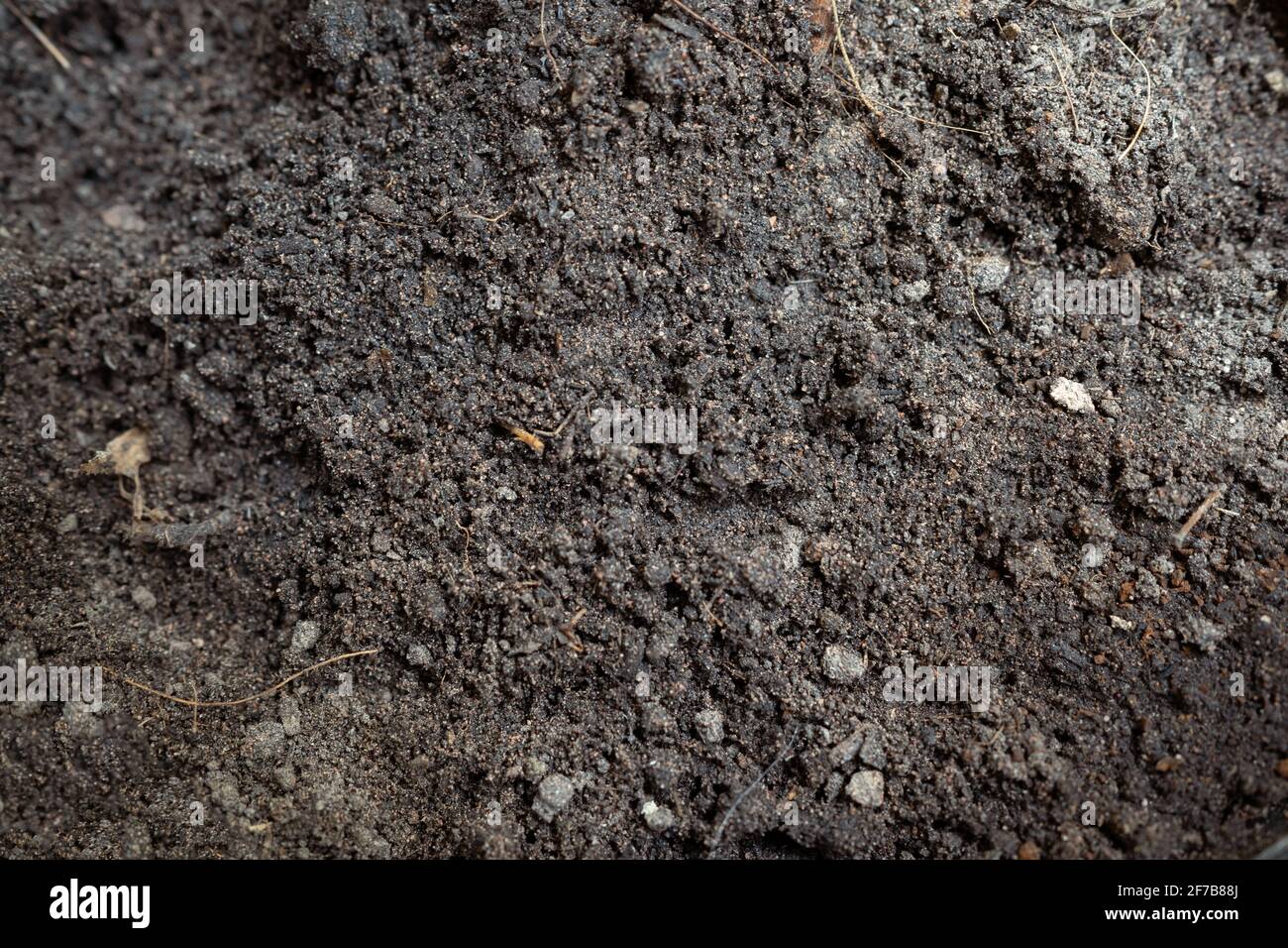 Dirt ground in the backyard texture background Stock Photo - Alamy