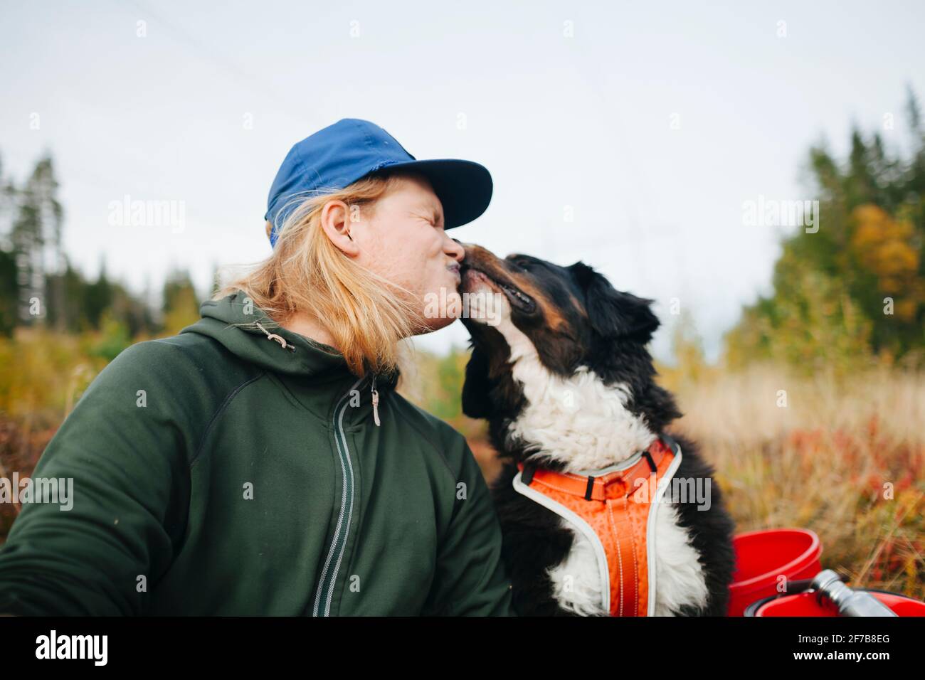 Man kissing dog Stock Photo - Alamy