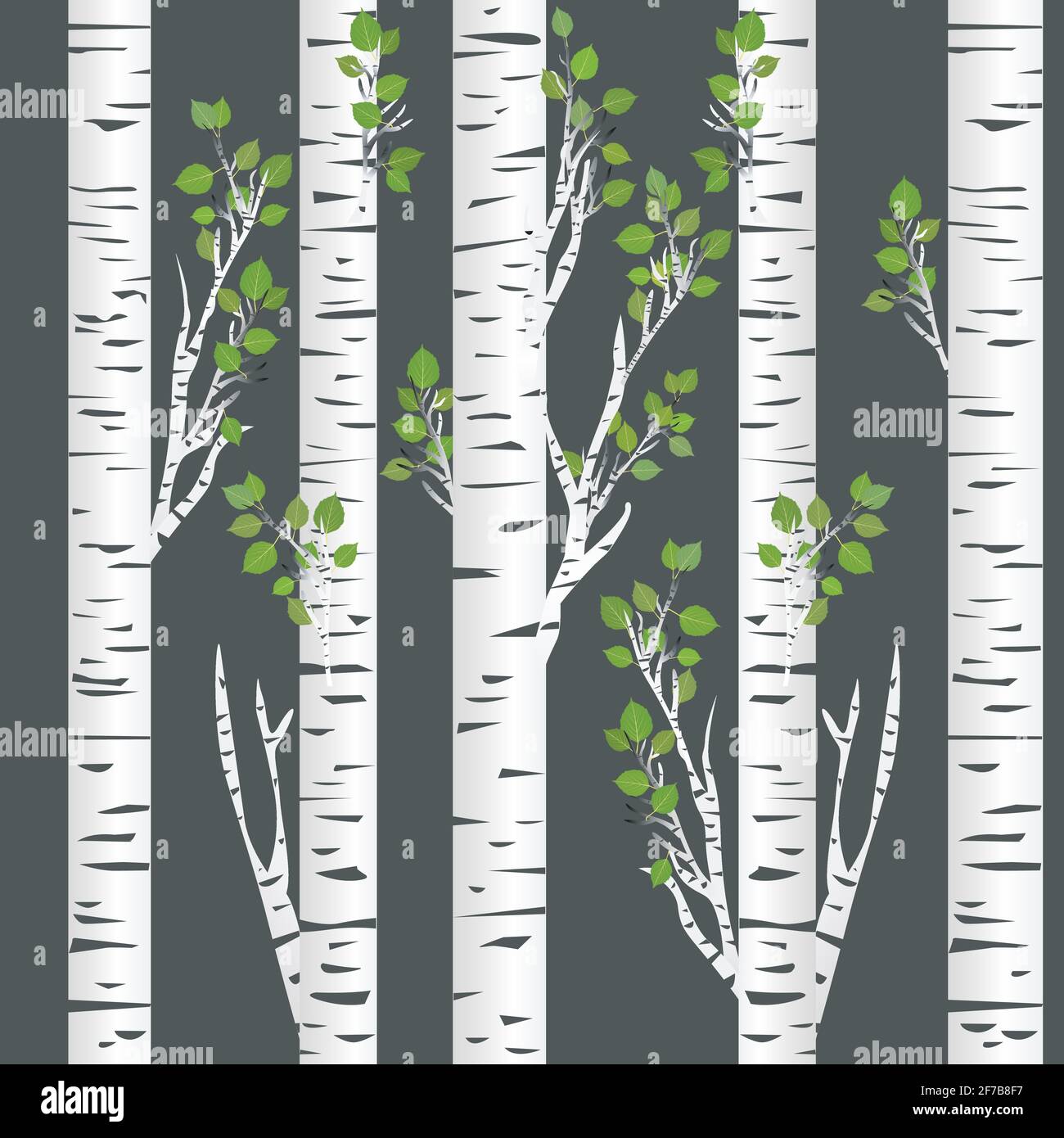 Trunks of birch Stock Vector Images - Alamy
