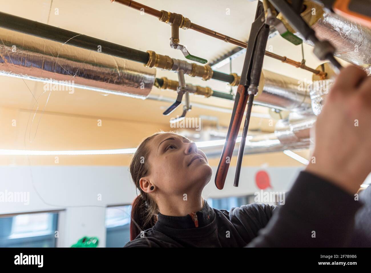 Woman renovating house Stock Photo - Alamy