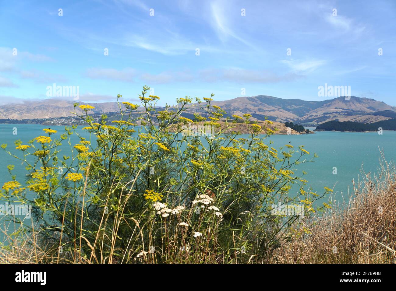 New Zealand, Southern Island Stock Photo - Alamy