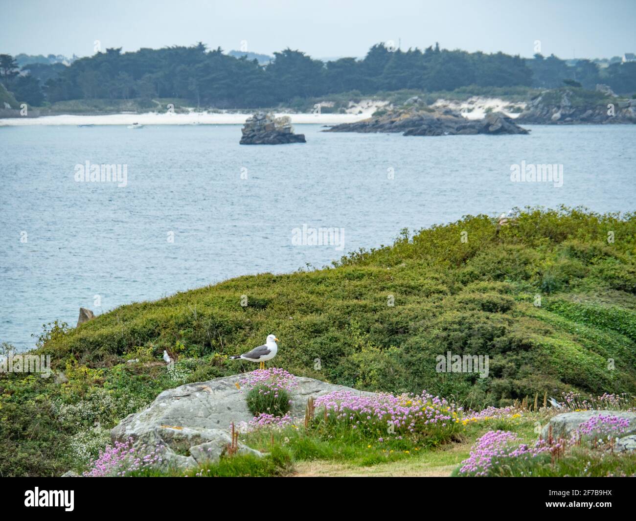 Island of batz hi-res stock photography and images - Alamy