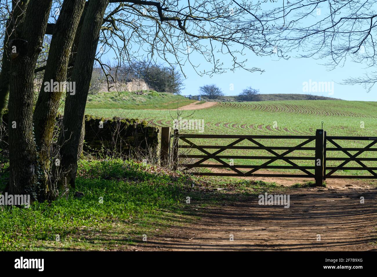 Old wooden gate in the English Countryside Stock Photo - Alamy