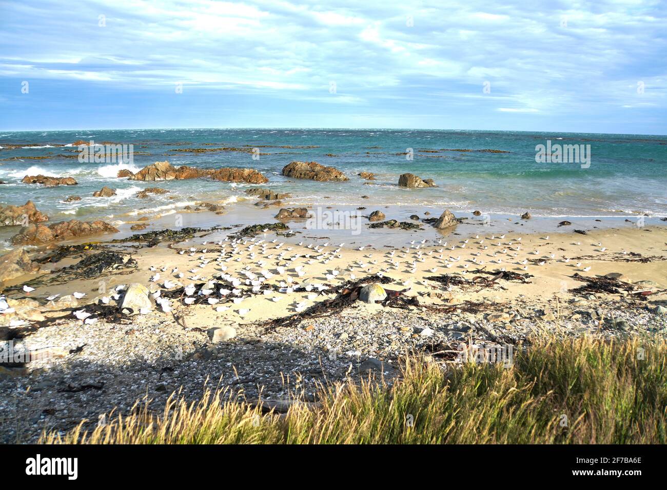 New Zealand, Southern Island Stock Photo - Alamy